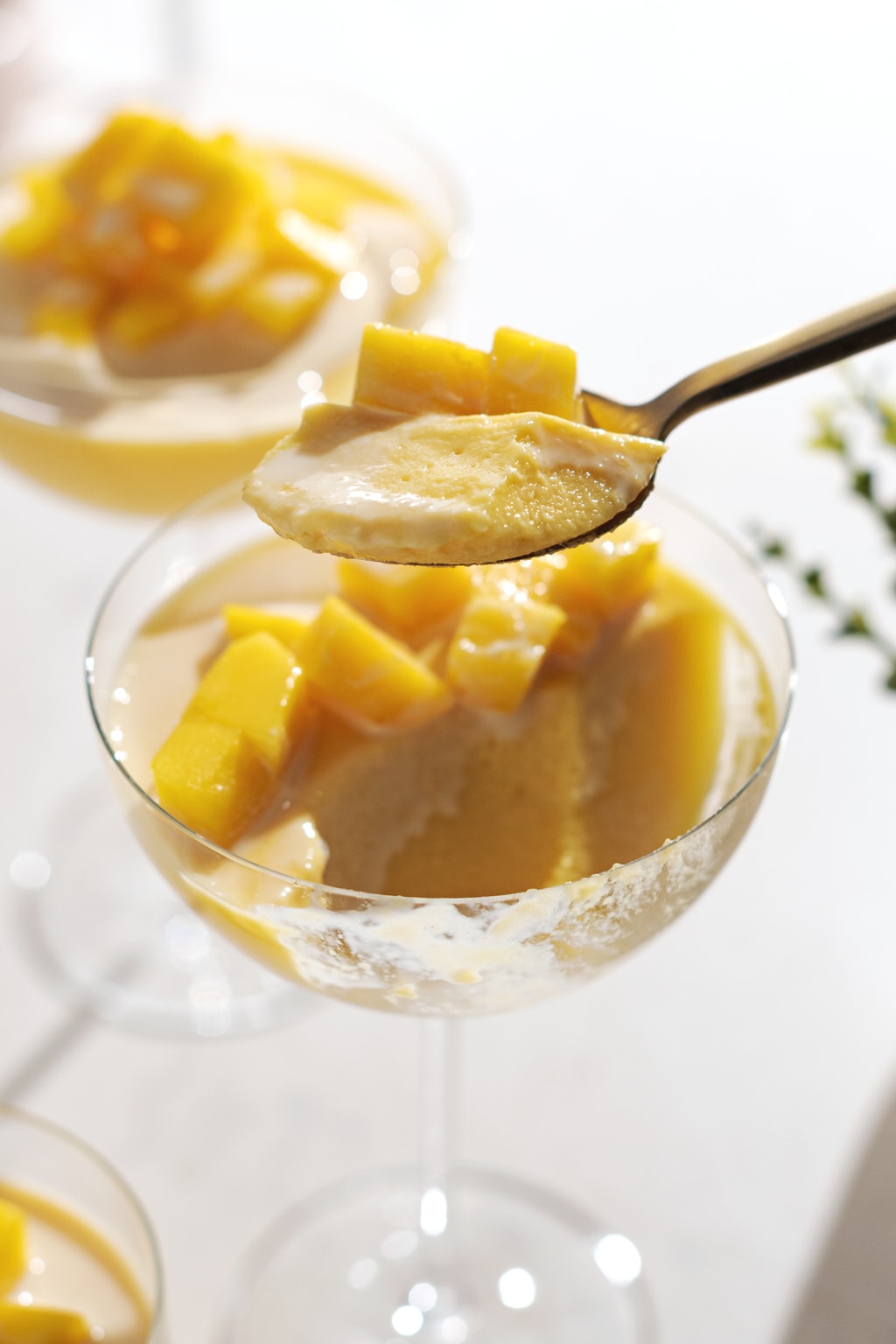 Mango Pudding (Hong Kong Style) - Teak & Thyme