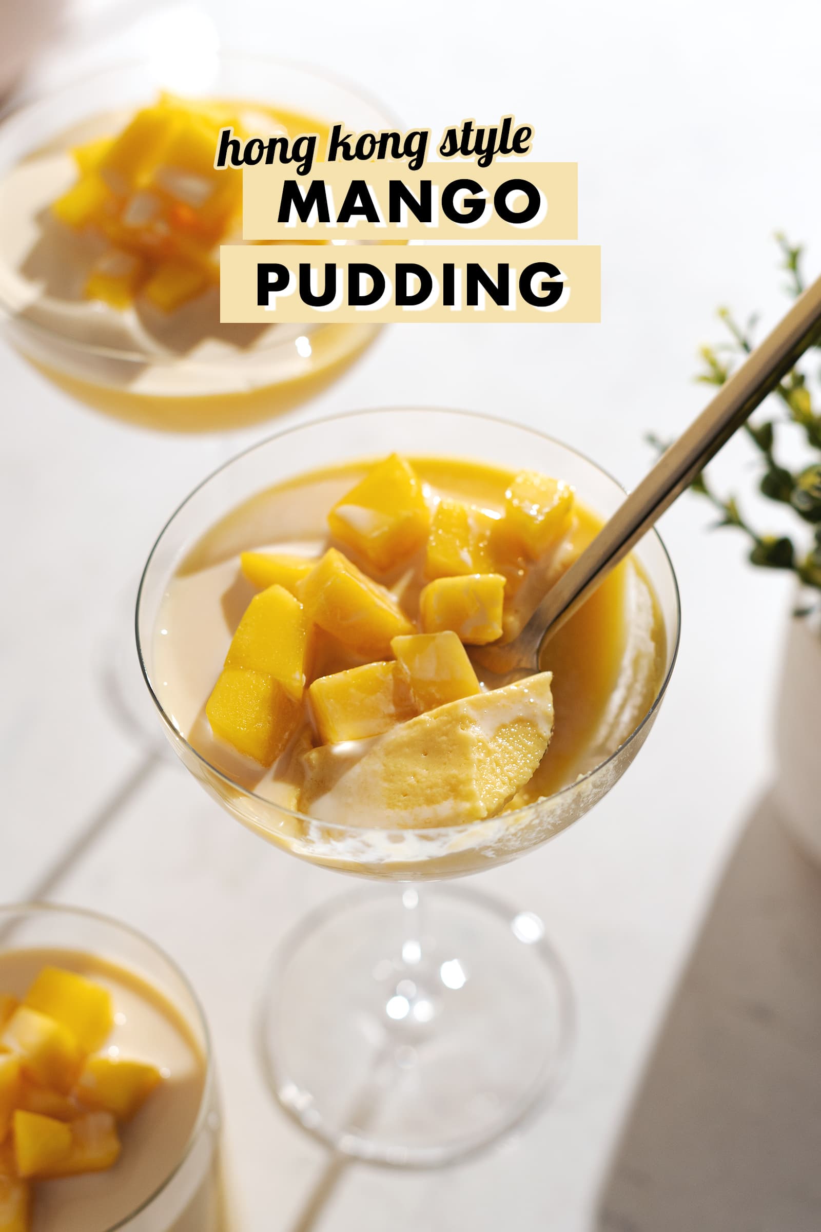 Mango Pudding (Hong Kong Style) - Teak & Thyme