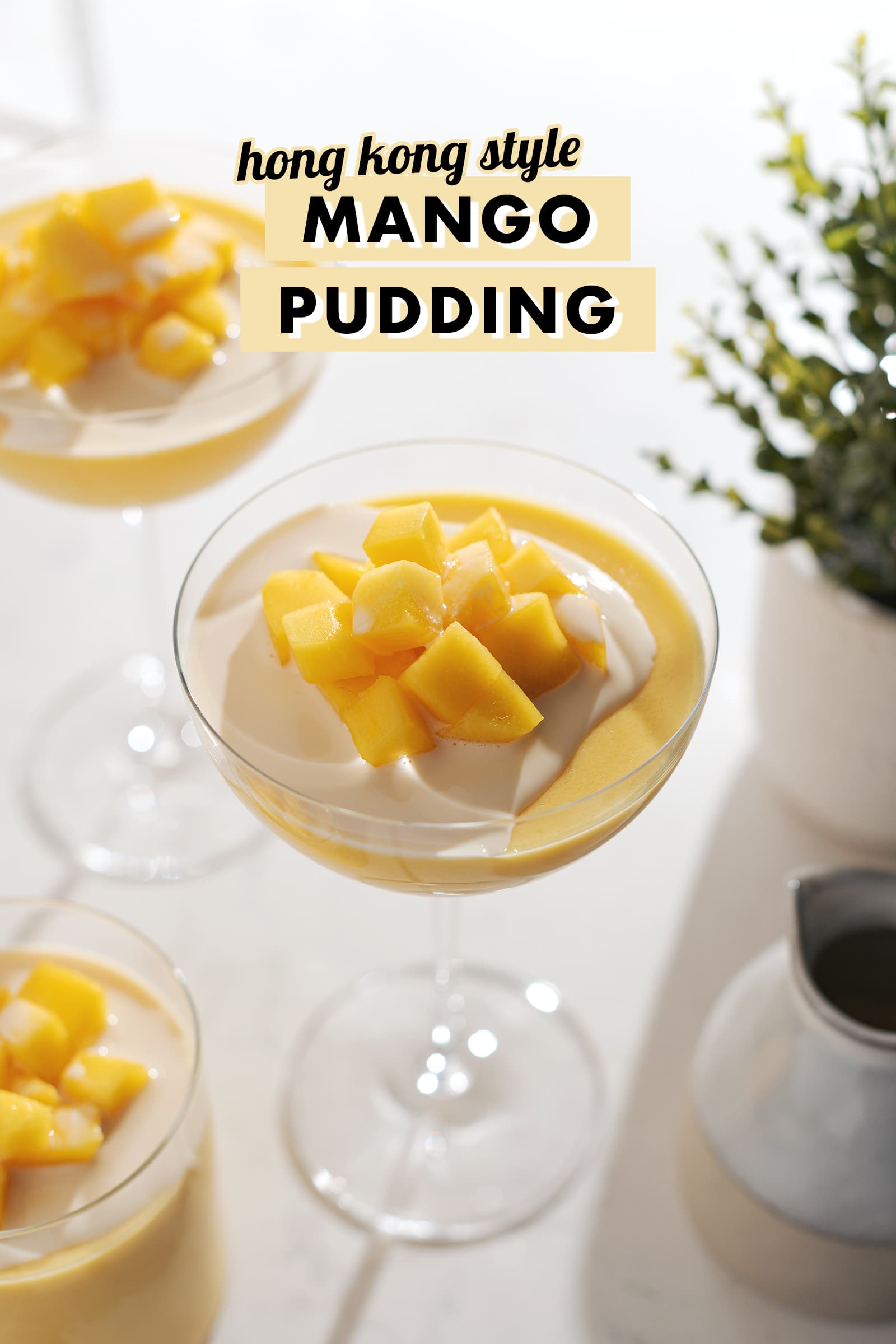 Mango Pudding (Hong Kong Style) - Teak & Thyme