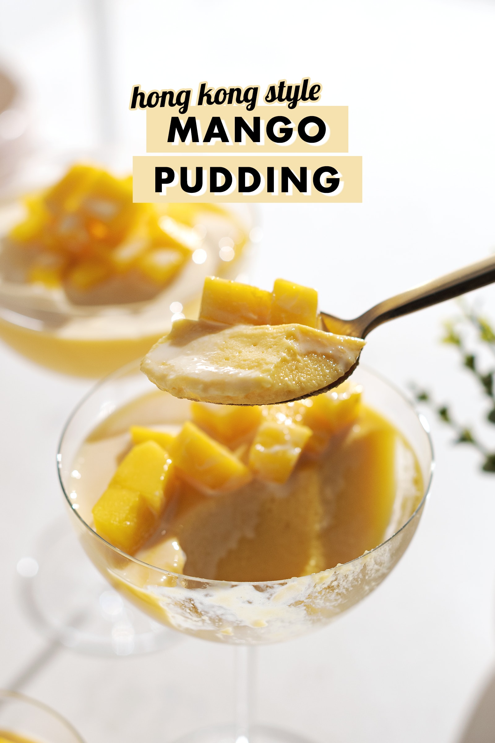 Mango Pudding (Hong Kong Style) - Teak & Thyme