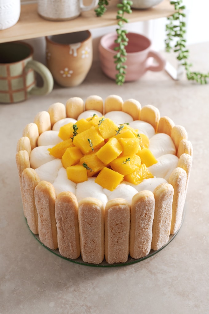 Mango Charlotte Cake - Teak & Thyme