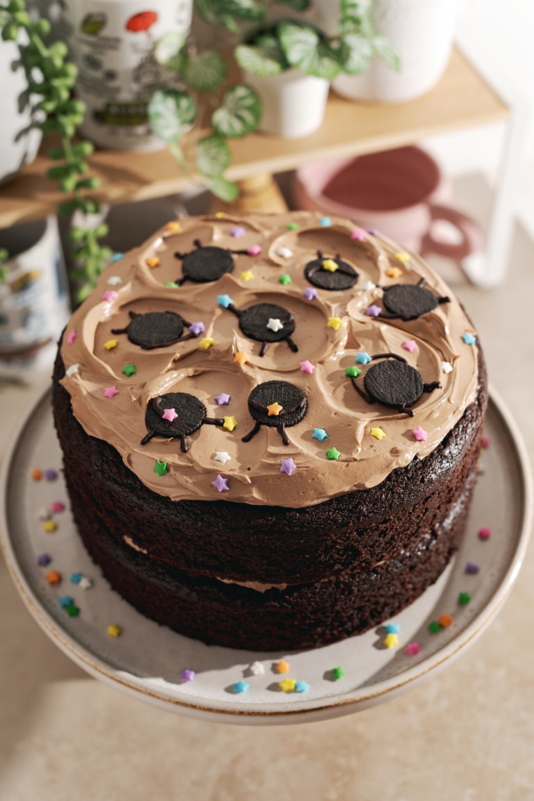 Soot Sprite Cake - Teak & Thyme