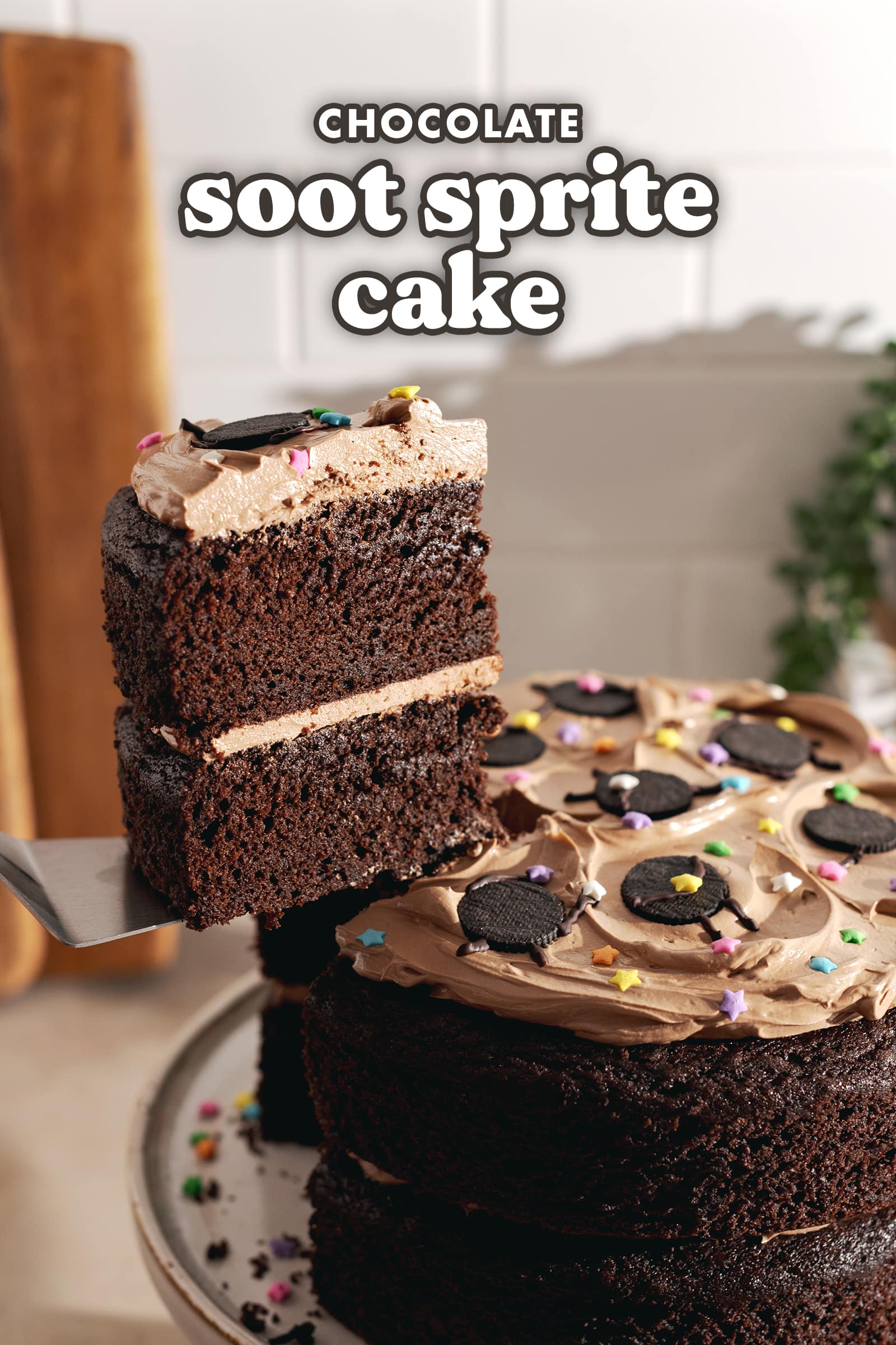 Soot Sprite Cake - Teak & Thyme