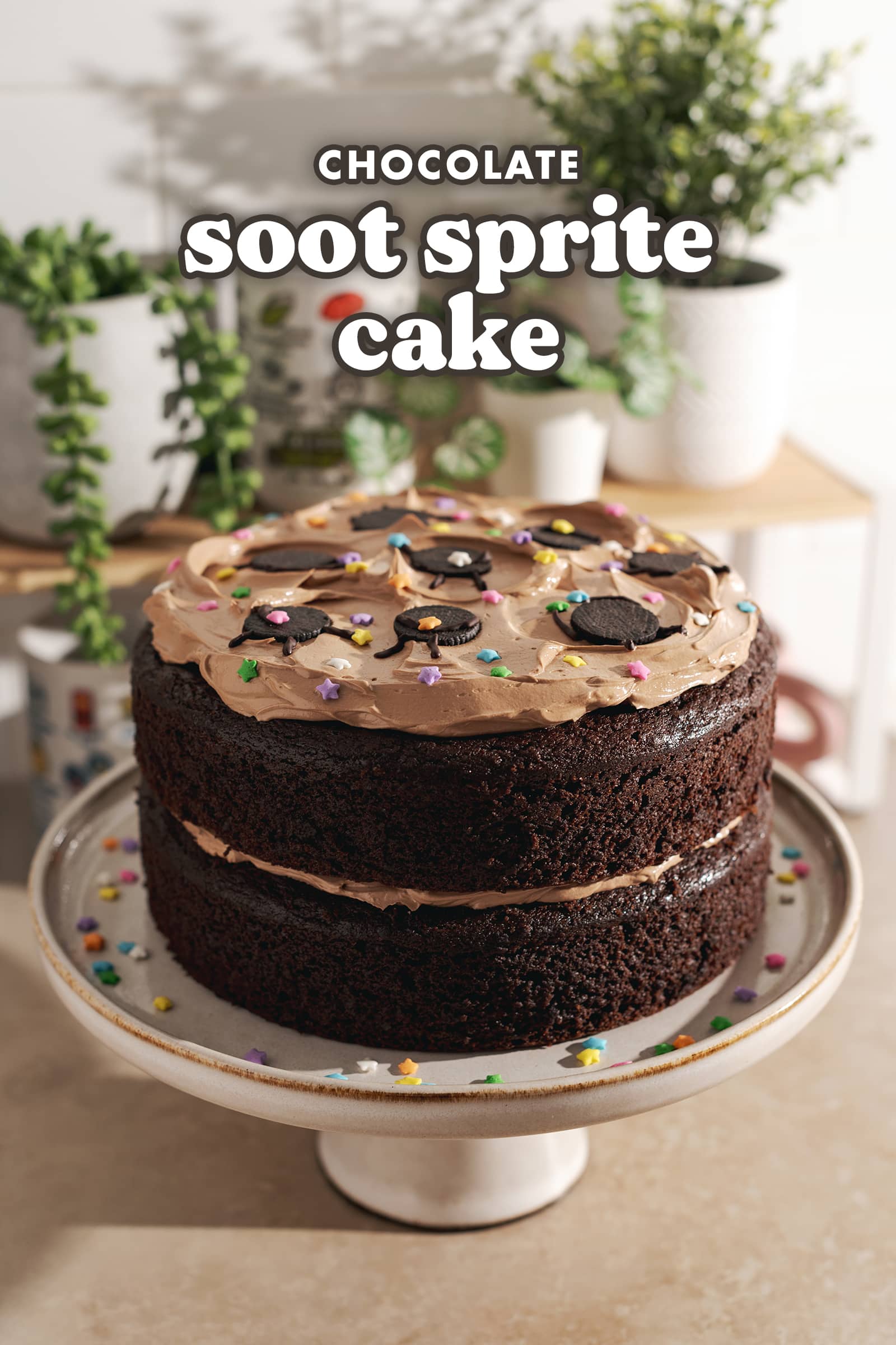 Soot Sprite Cake - Teak & Thyme