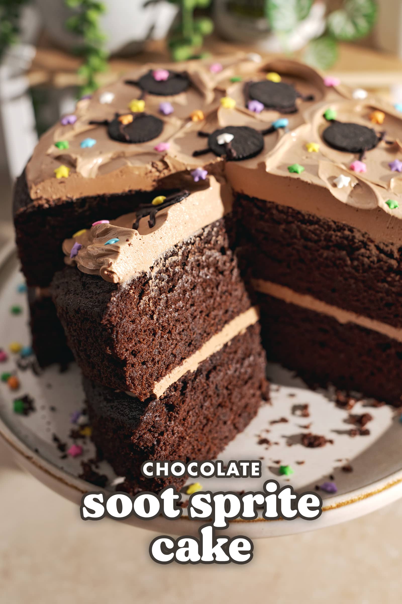 Soot Sprite Cake - Teak & Thyme