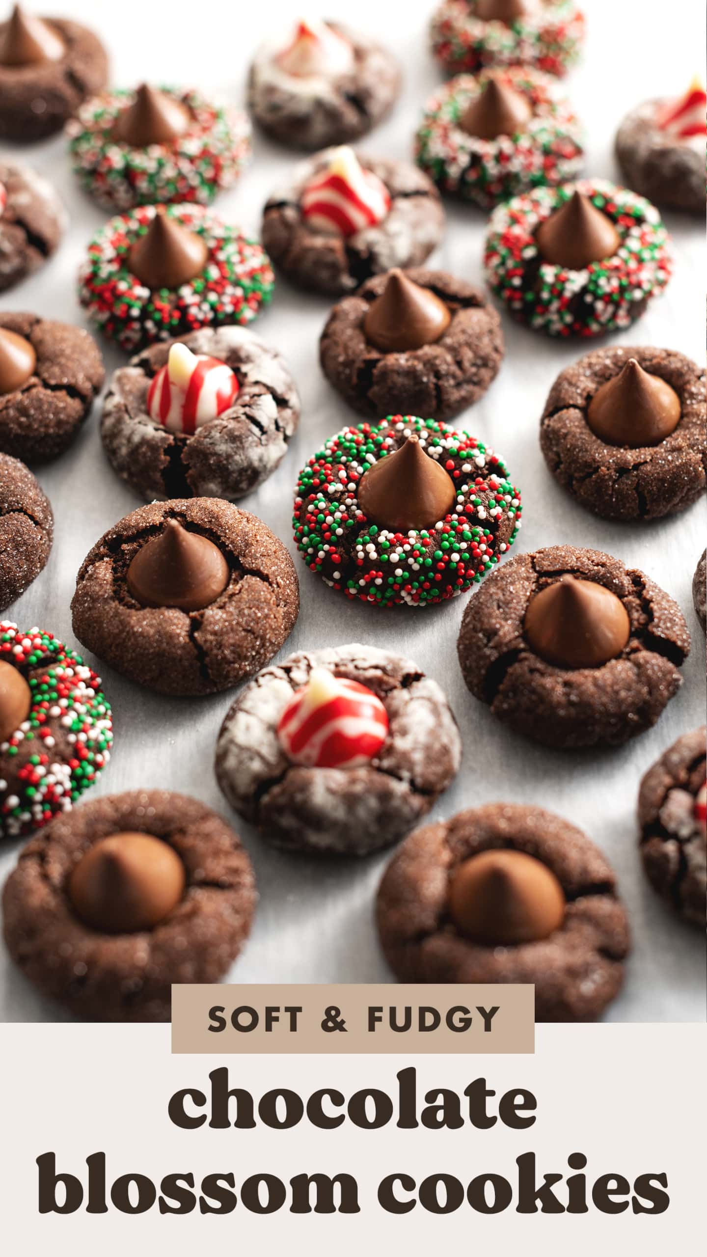Chocolate Blossom Cookies - Teak & Thyme