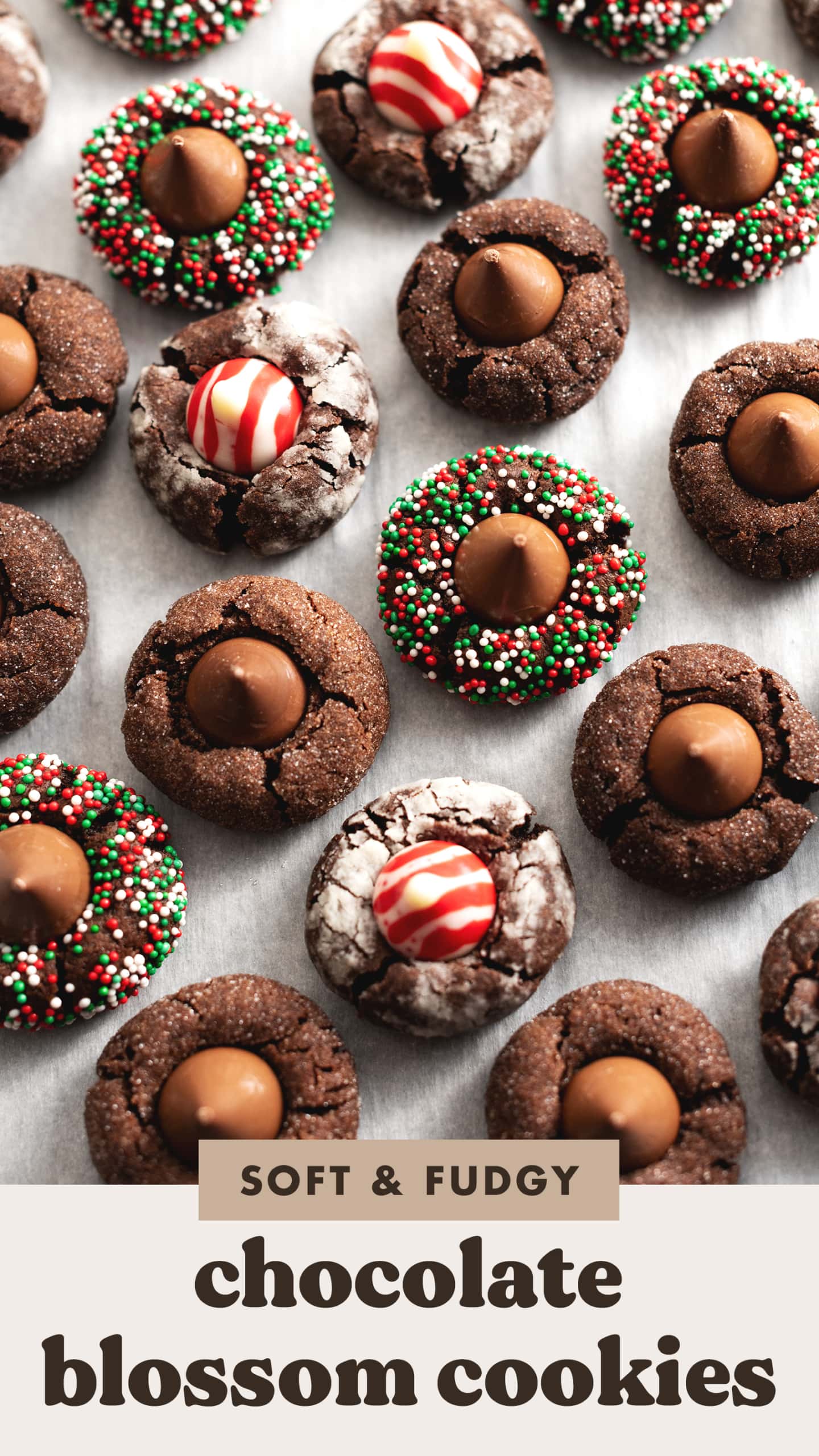 Chocolate Blossom Cookies - Teak & Thyme