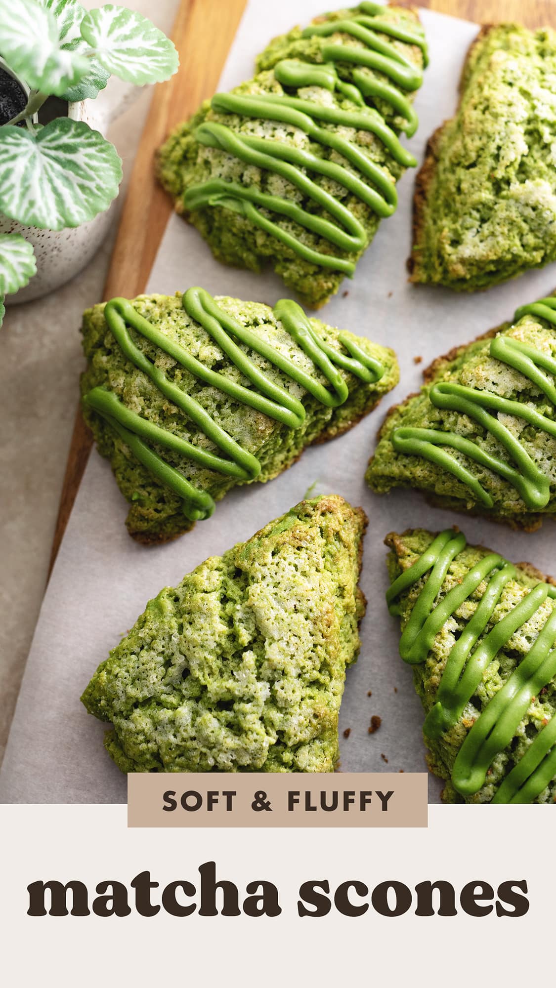 Matcha Scones - Teak & Thyme