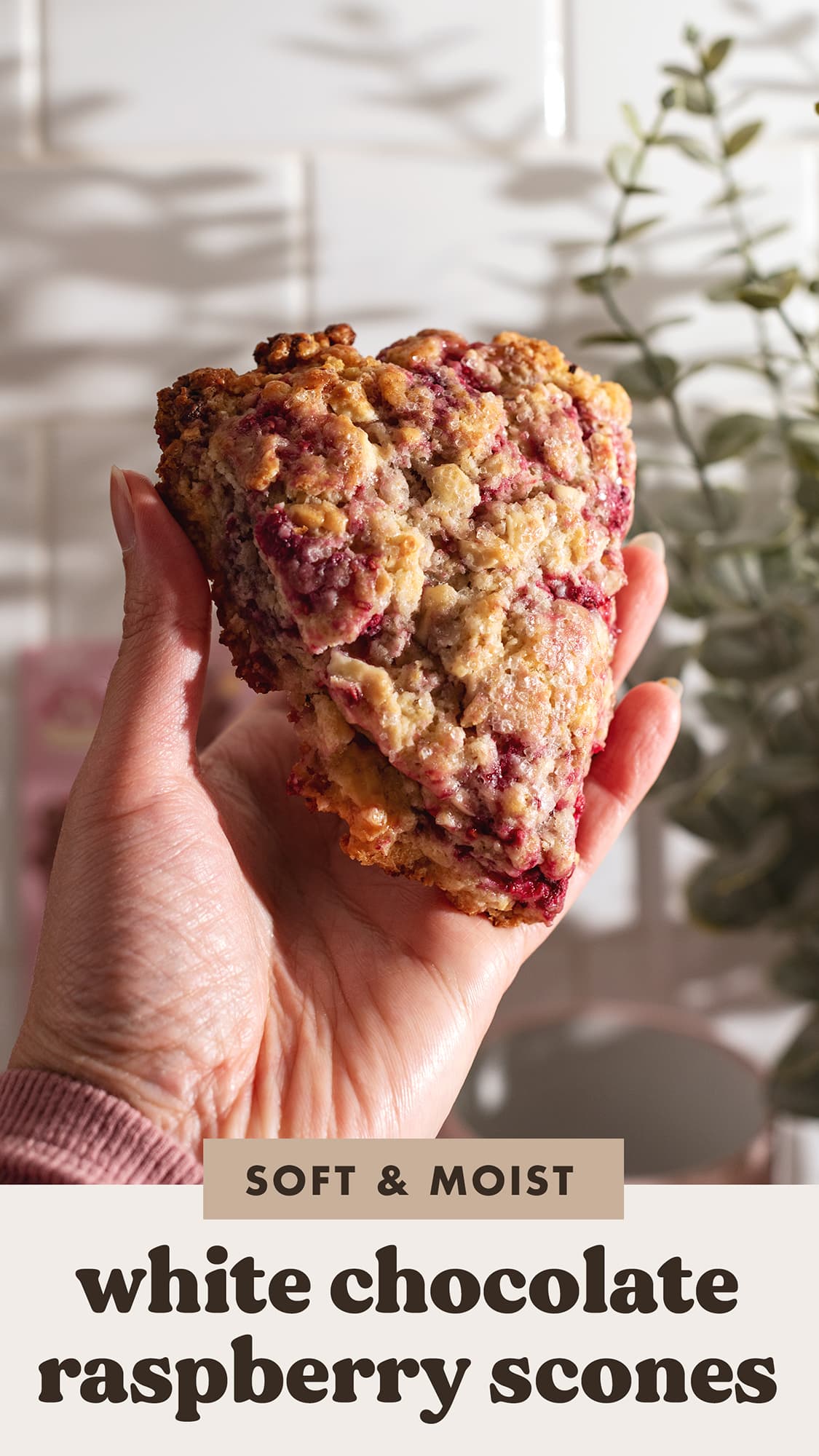 White Chocolate Raspberry Scones - Teak & Thyme
