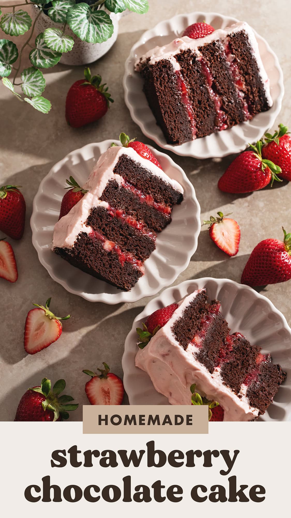 Strawberry Chocolate Cake - Teak & Thyme