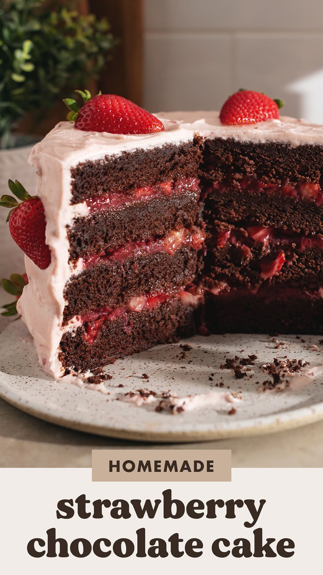 Strawberry Chocolate Cake - Teak & Thyme