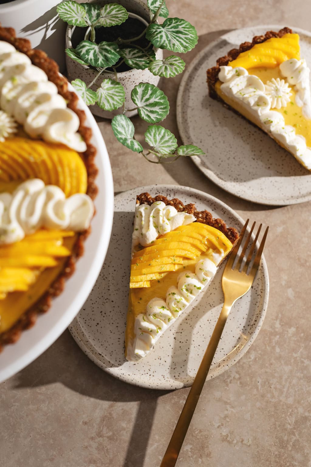 Mango Tart (with biscoff crust) - Teak & Thyme