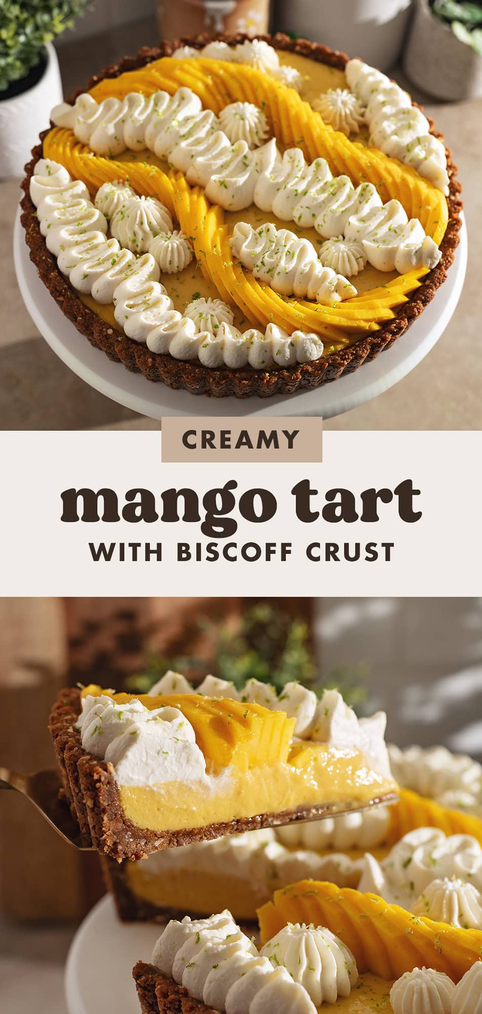Mango Tart (with biscoff crust) - Teak & Thyme