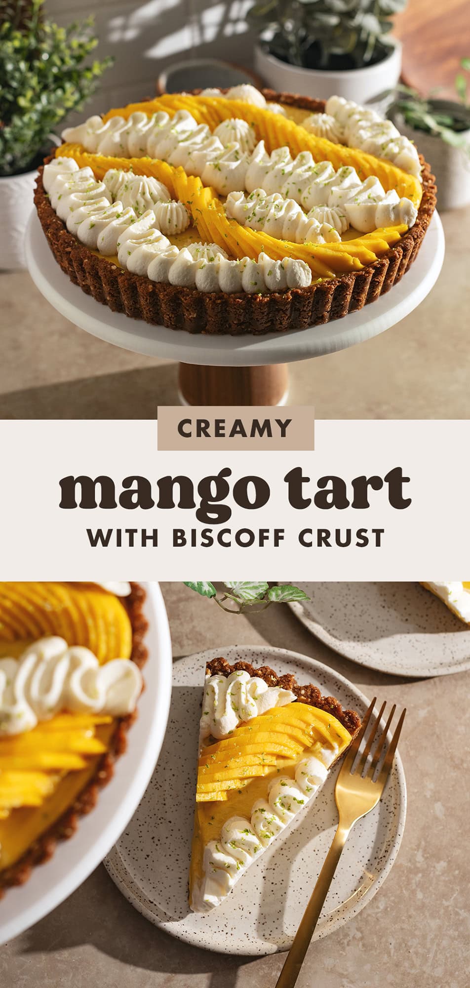 Mango Tart (with biscoff crust) - Teak & Thyme