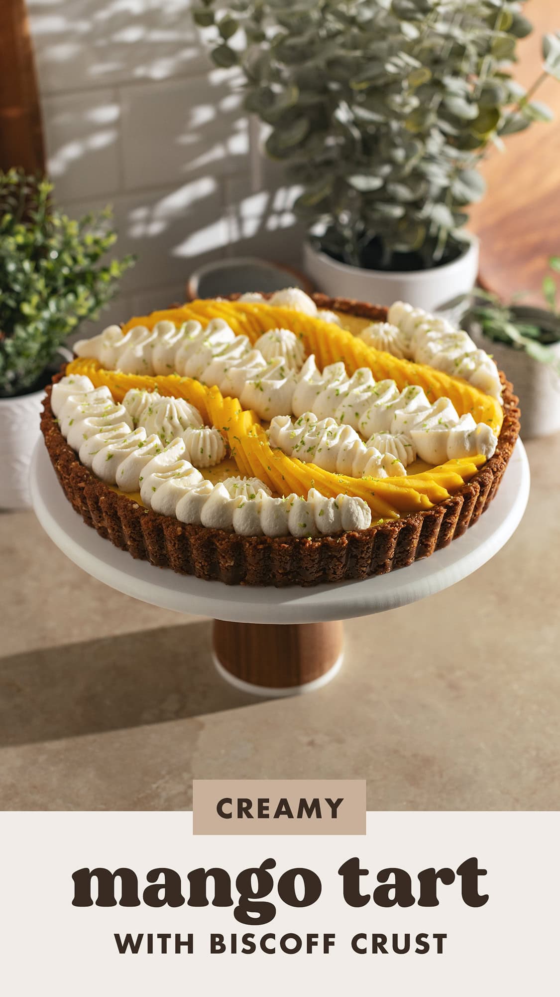 Mango Tart (with biscoff crust) - Teak & Thyme