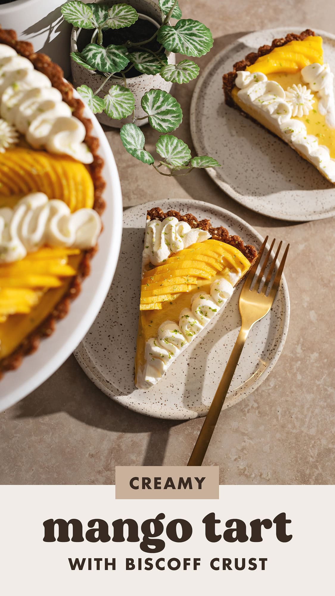 Mango Tart (with biscoff crust) - Teak & Thyme