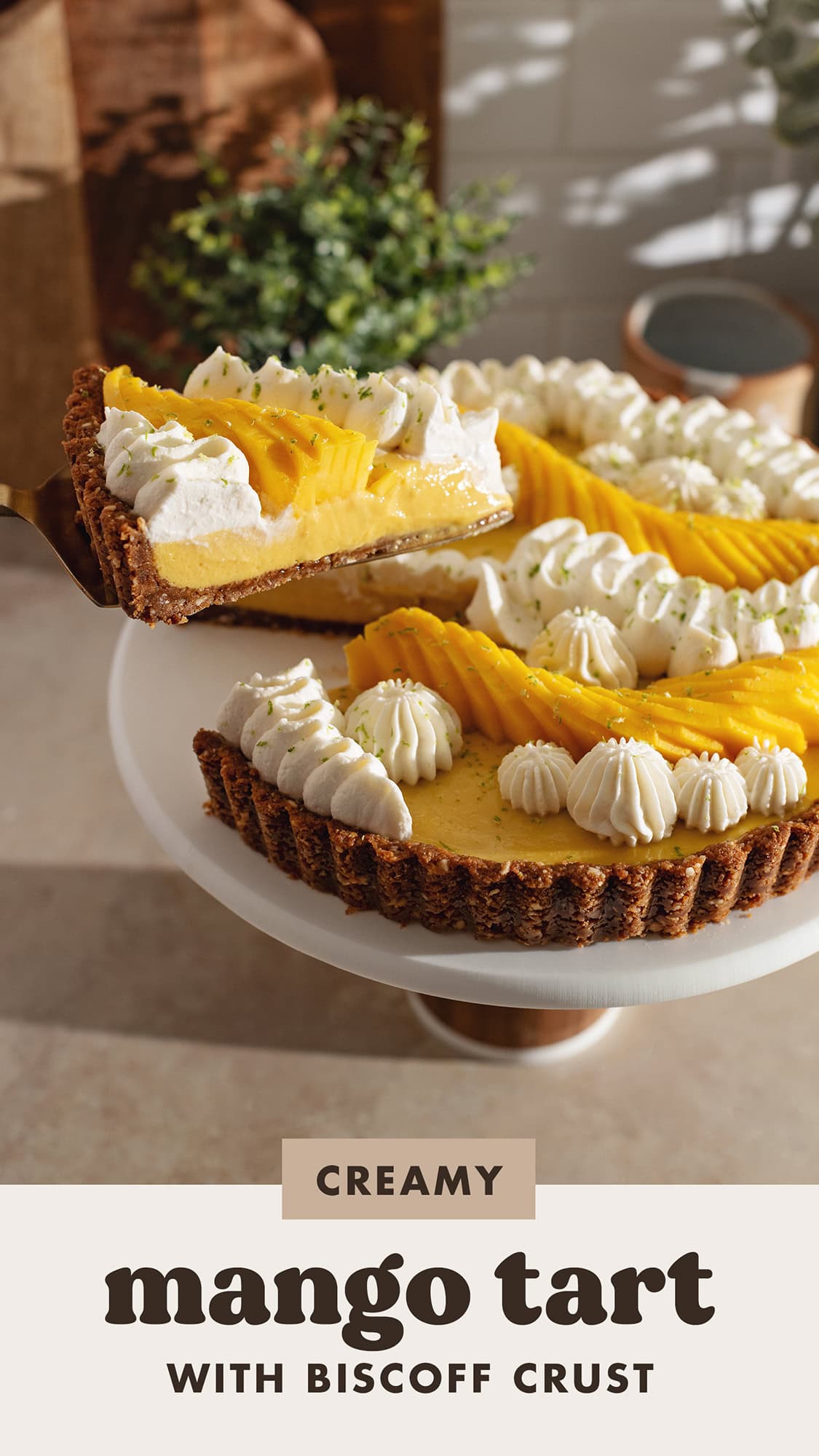 Mango Tart (with biscoff crust) - Teak & Thyme