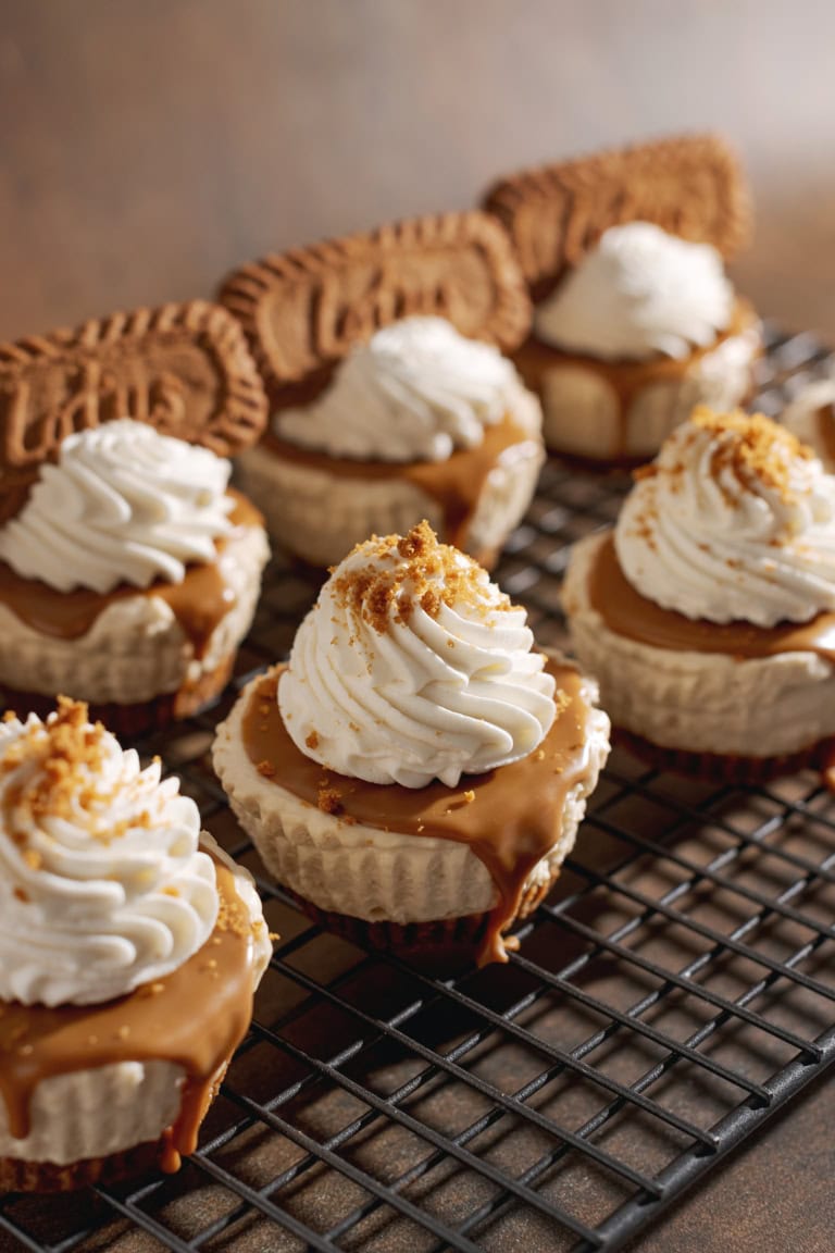 Mini Biscoff Cheesecakes (no-bake) - Teak & Thyme