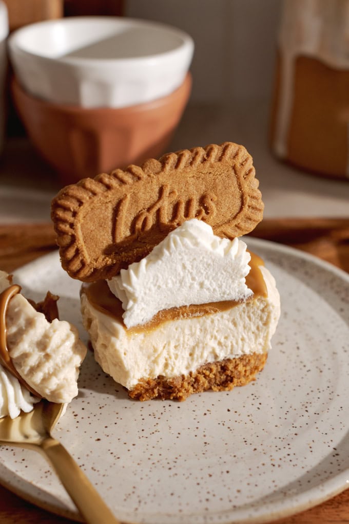 Mini Biscoff Cheesecakes (no-bake) - Teak & Thyme