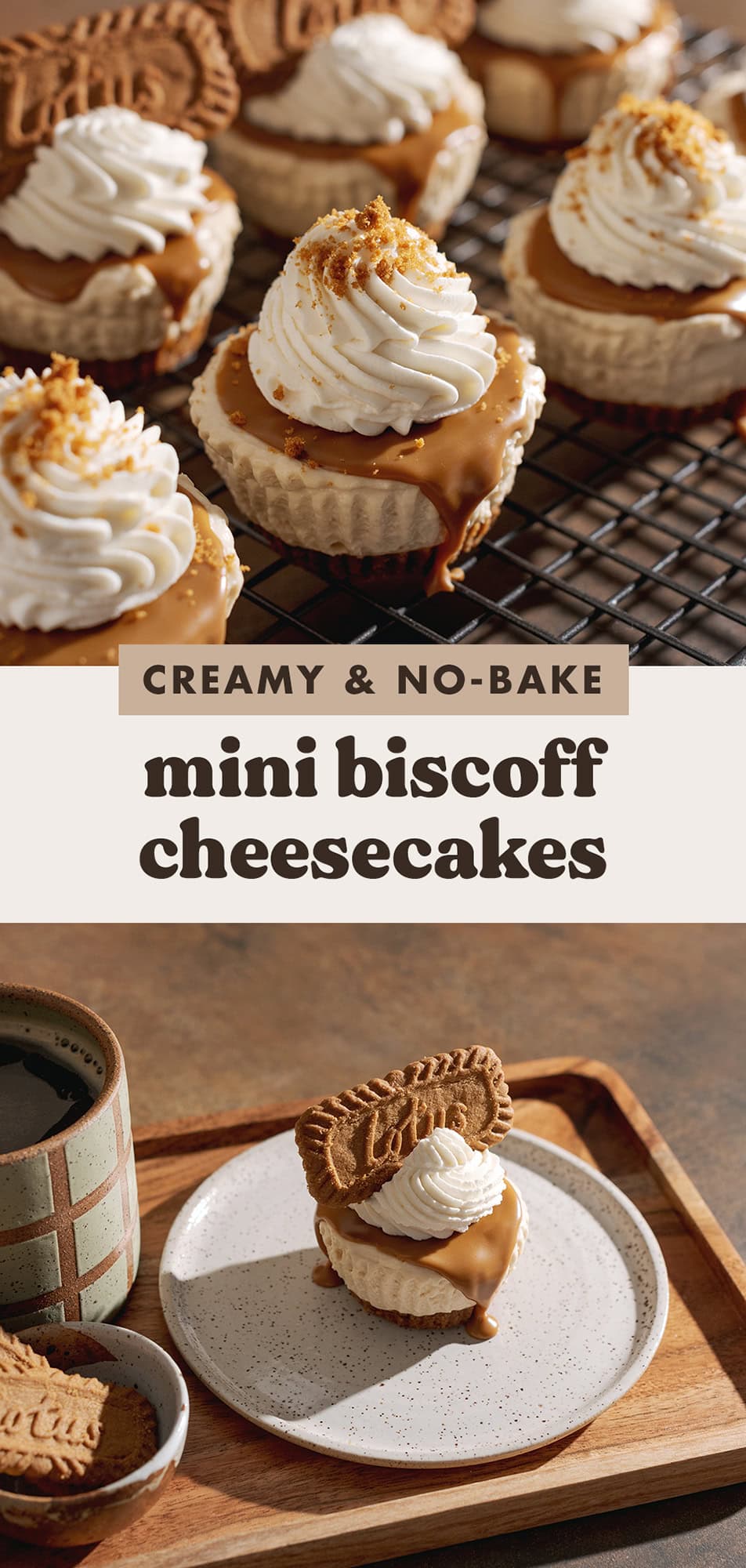 Mini Biscoff Cheesecakes (no-bake) - Teak & Thyme