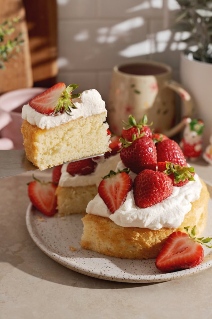 Mini Strawberry Cream Cake - Teak & Thyme