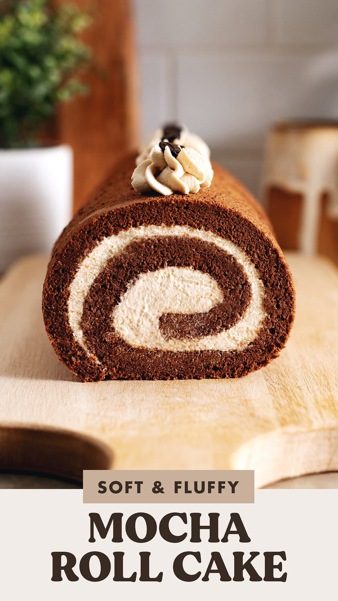 Mocha Roll Cake - Teak & Thyme