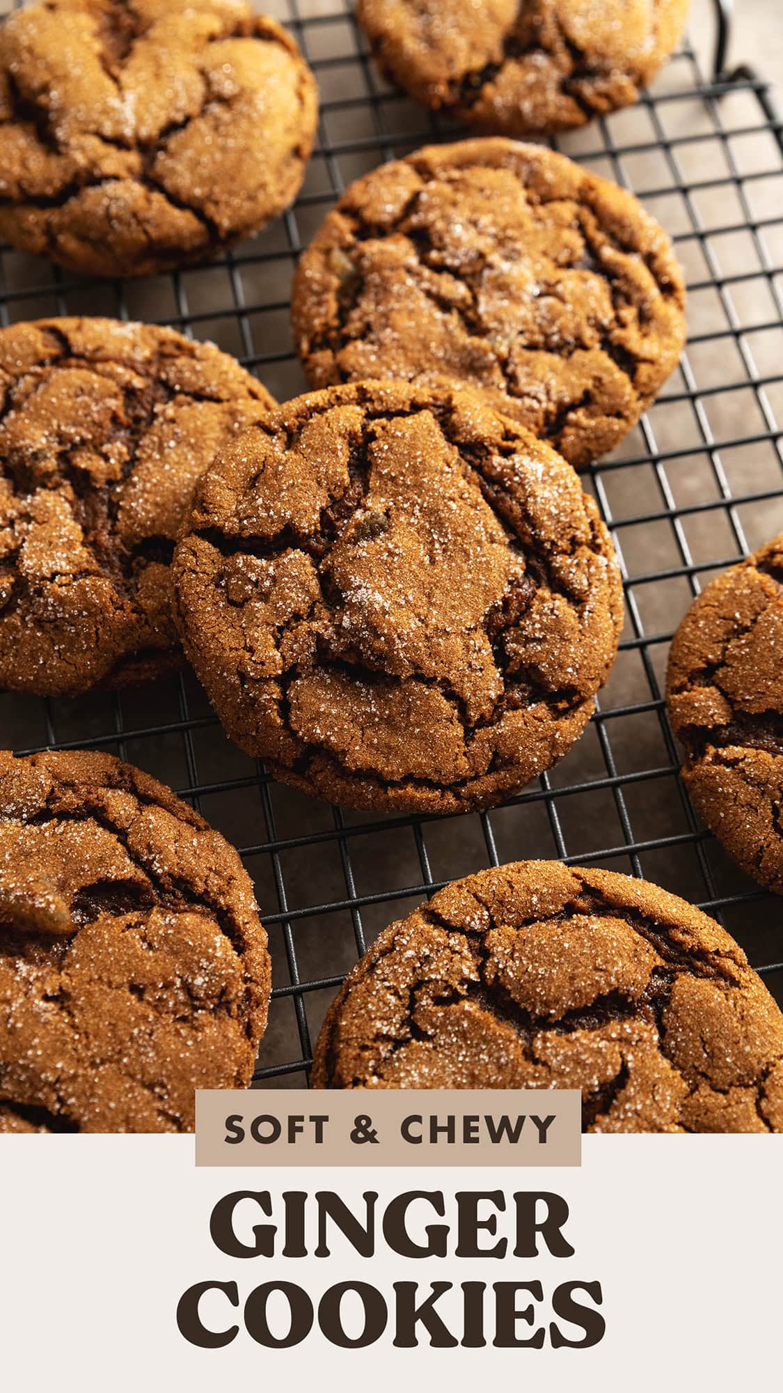 Chewy Ginger Cookies - Teak & Thyme