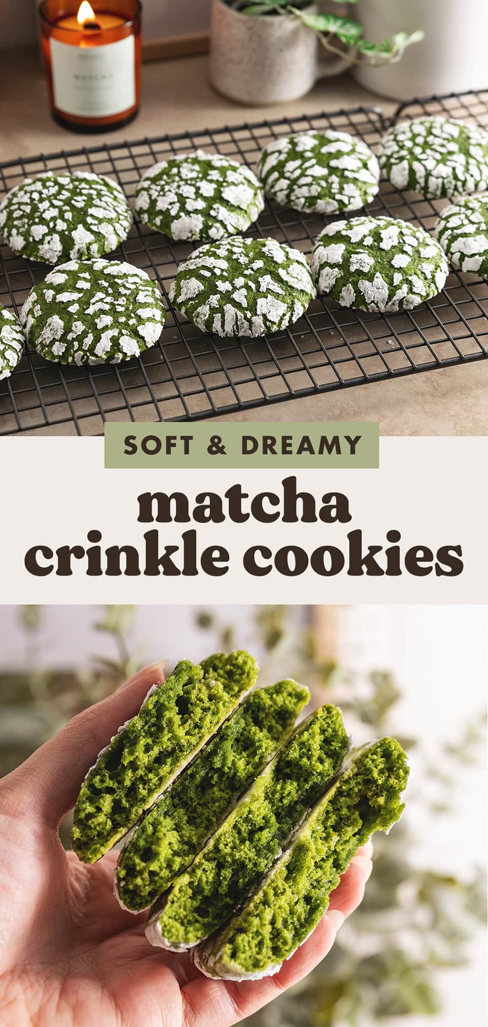 Matcha Crinkle Cookies - Teak & Thyme
