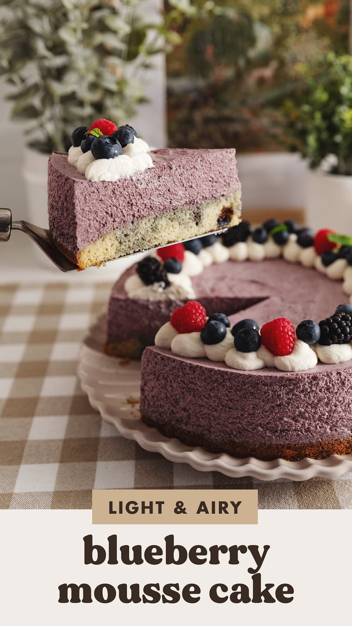 Blueberry Mousse Cake - Teak & Thyme