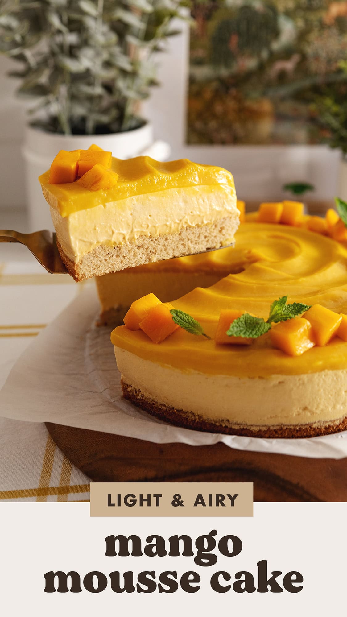 Mango Mousse Cake - Teak & Thyme